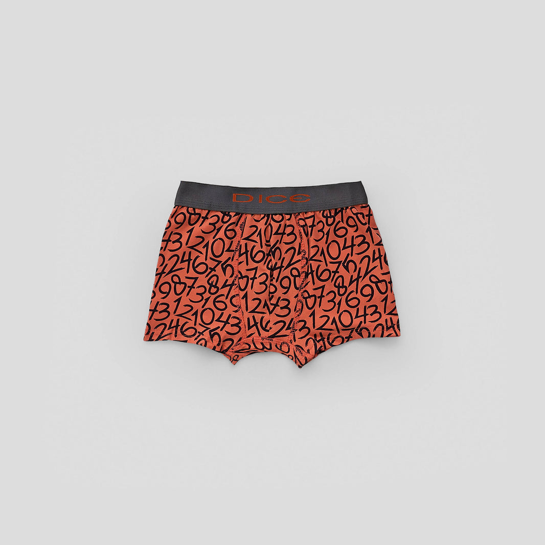 dice-usa.com – Dice